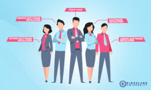 What Are the Different Software Developer Levels and Job Titles ...